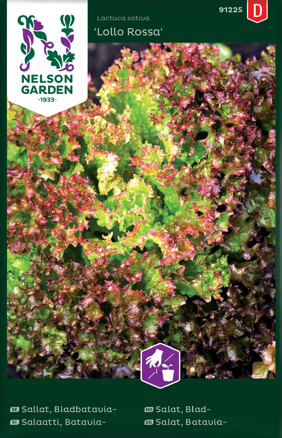 Salat, Batavia-, Lollo Rossa - Nelson garden - Gartnerhallen A/S