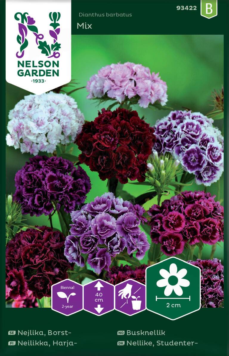 Nellike, Studenternelliker - Nelson garden - Gartnerhallen A/S