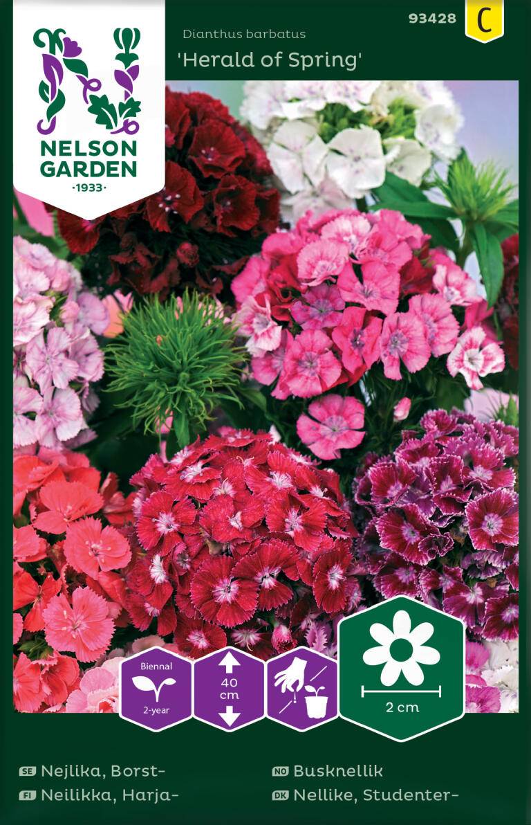 Nellike, Studenternellike 'Herald of Spring' - Nelson garden ...