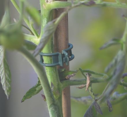 Planteclips Strong - Nelson Garden - Gartnerhallen A/S