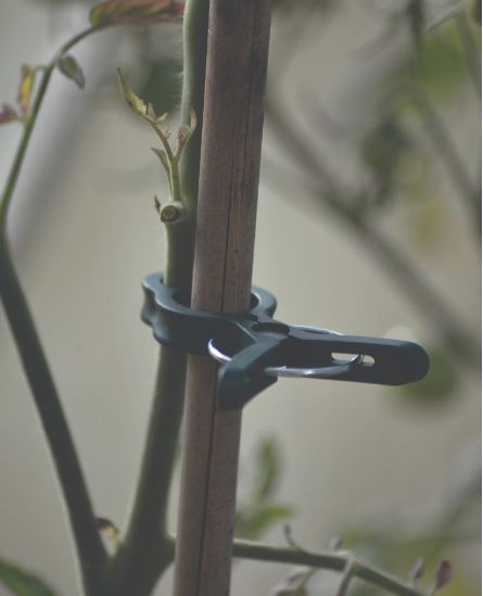 Planteclips - Nelson Garden - Gartnerhallen A/S